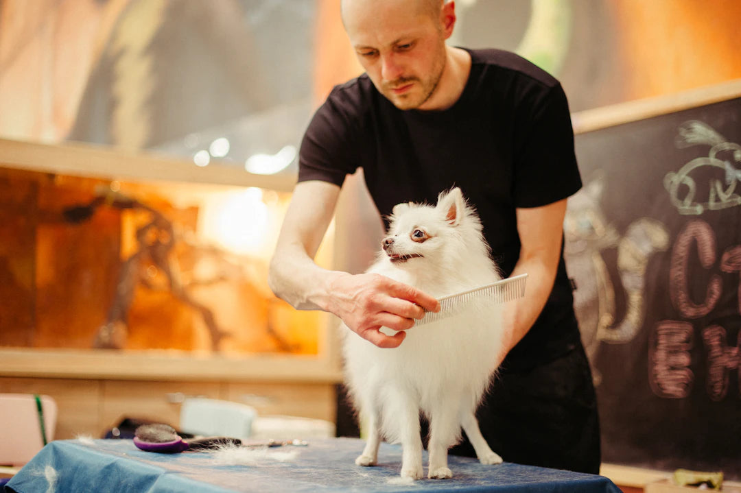 Mastering Pet Grooming: Savvy Tips for Every Animal – UK KENNELS